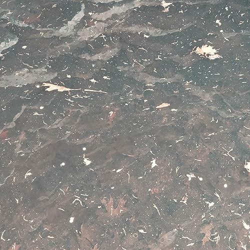 Play Dire, Dire Docks (from "Super Mario 64") by Koreskape on Amazon Music