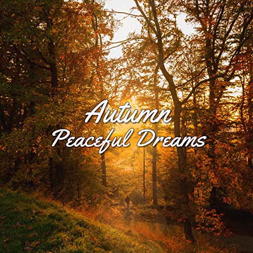 Fall Atmosphere, Sleep Meditation song by Natural Sleep Aid Ensemble ...