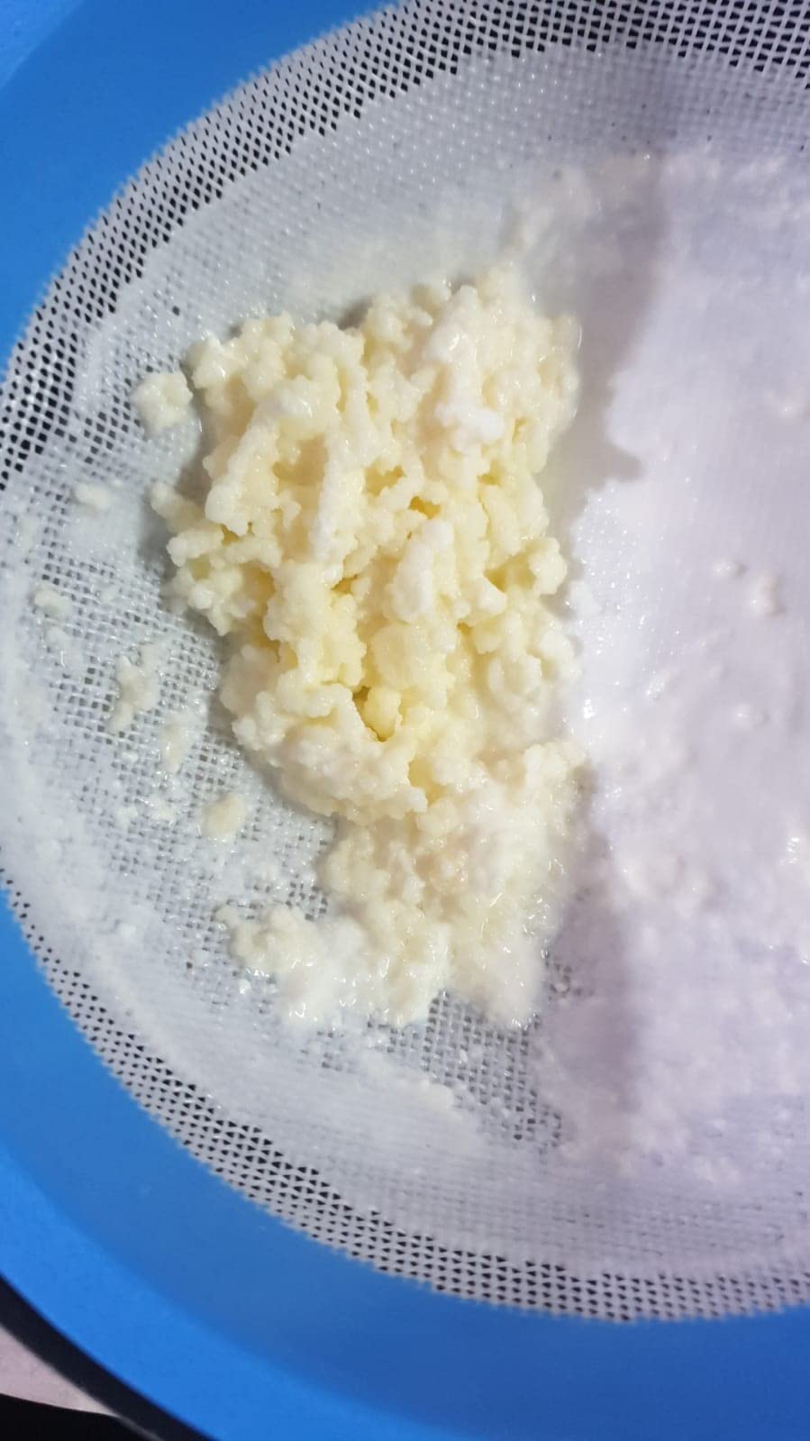 Culturesmarket Live Milk Kefir Grains (15 grams) | Around 55 Live ...