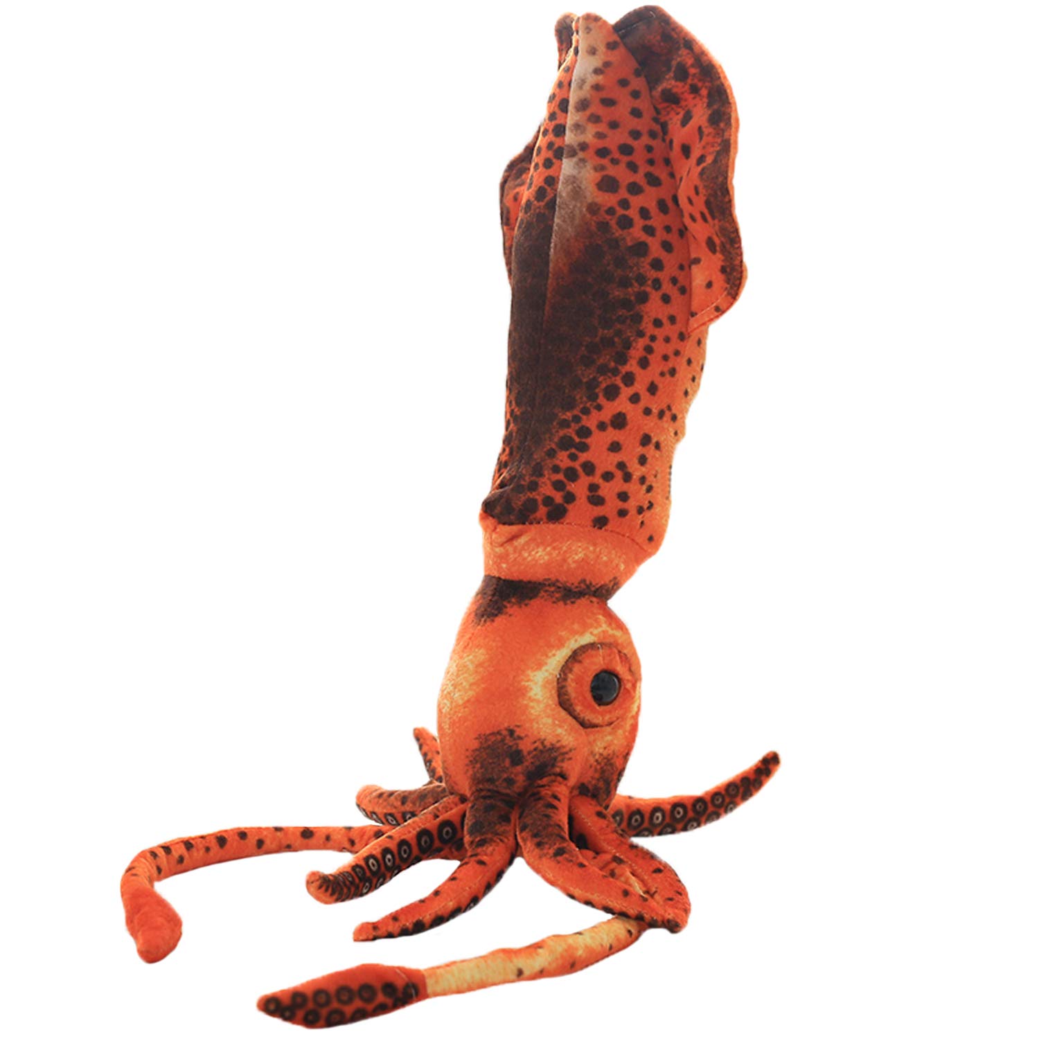 Ocean Animals Squid