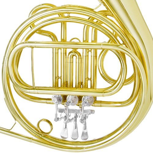 The 20 Best French Horns of 2024 [Verified] - Cherry Picks