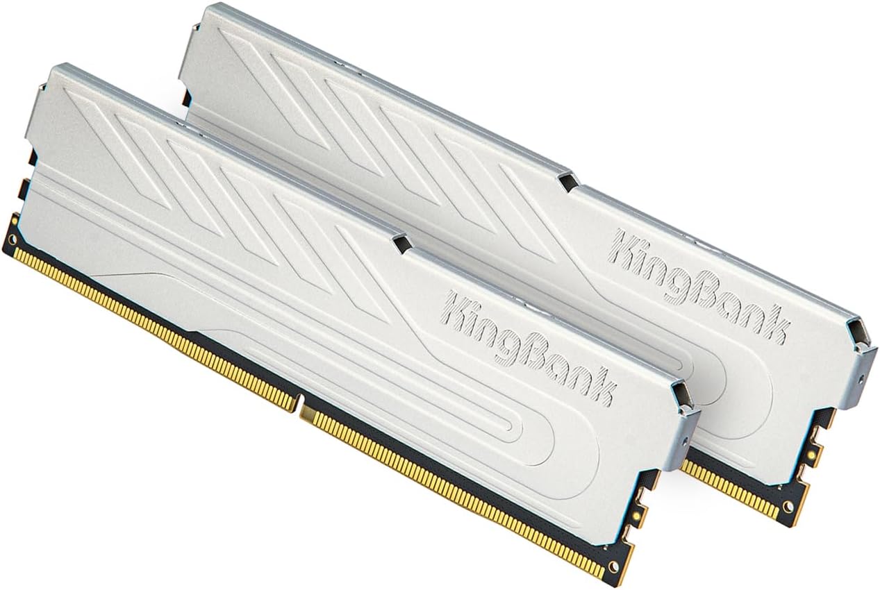 Memoria RAM DDR5 de 32 GB (2 x 16 GB) 6000 MT/s CL36 1.35 V ...