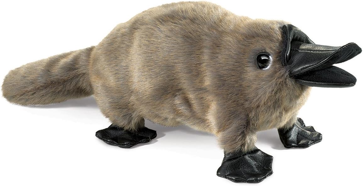 Amazon.com: Folkmanis Baby Platypus Hand Puppet, Gray : Toys & Games