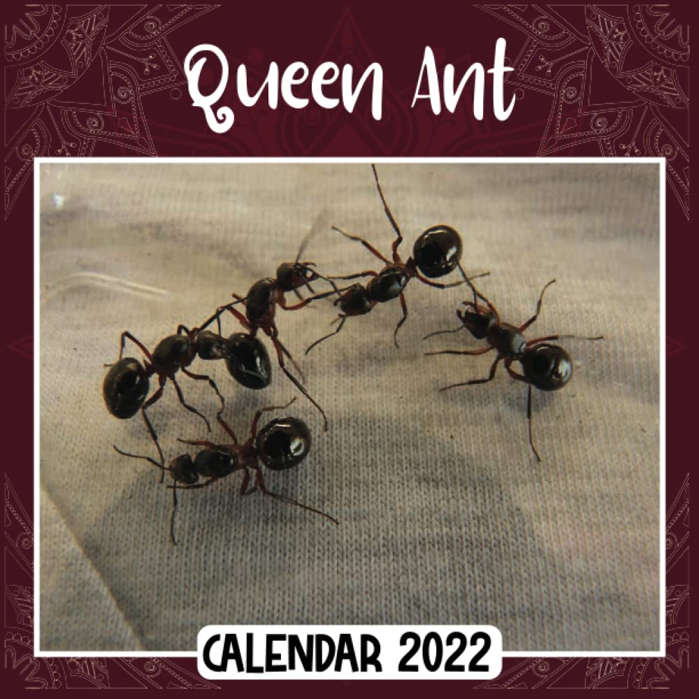 Queen Ant 2022 Calendar Queen Ant Mini Calendar 2022 2023 | Desertcart ...