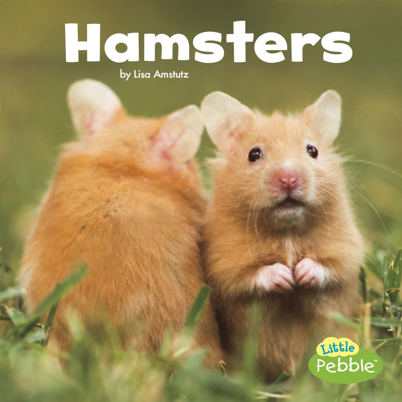 Hamsters (Our Pets): Amstutz, Lisa J.: 9781543501599: Amazon.com: Books