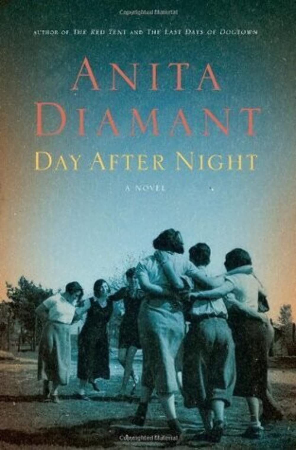Amazon.com: Day After Night: A Novel: 9780743299848: Diamant, Anita: Books