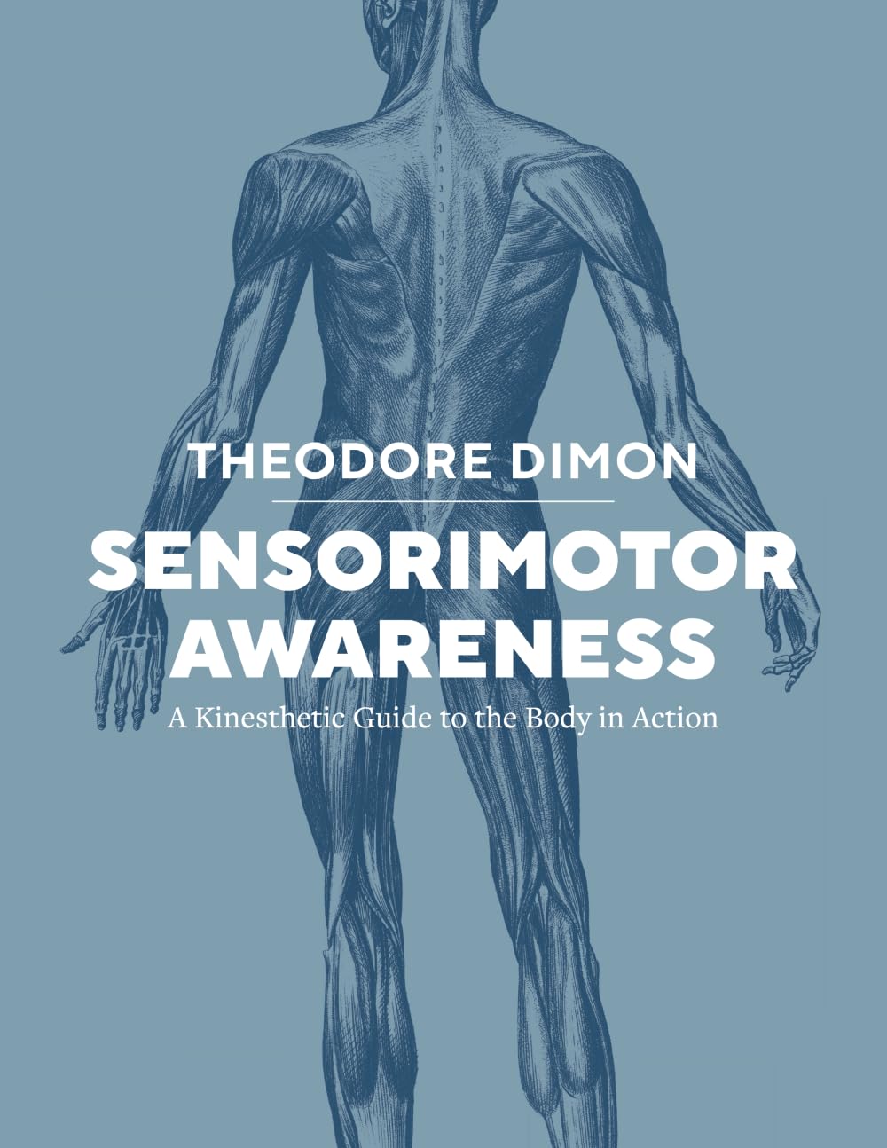 Sensorimotor Awareness: A Kinesthetic Guide to the Body in Action ...