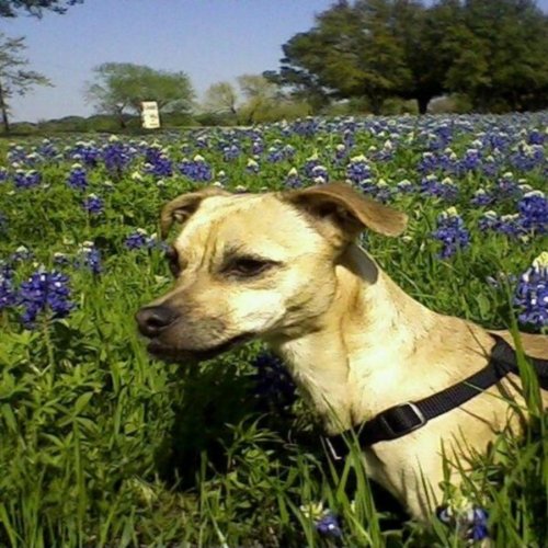 Amazon.com: Ambassador : Jake Akins: Digital Music