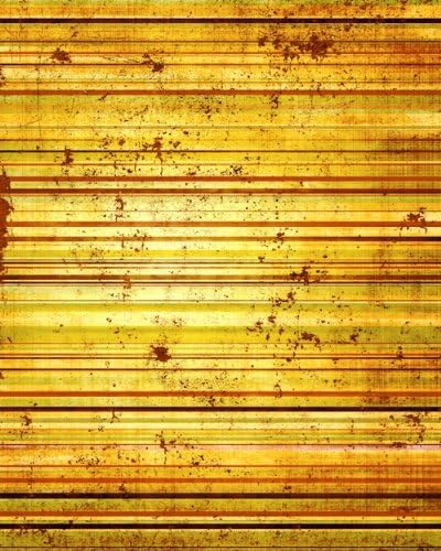 Amazon.com : Promaster Scenic Backdrops - 8' x 10' - Bamboo : Electronics