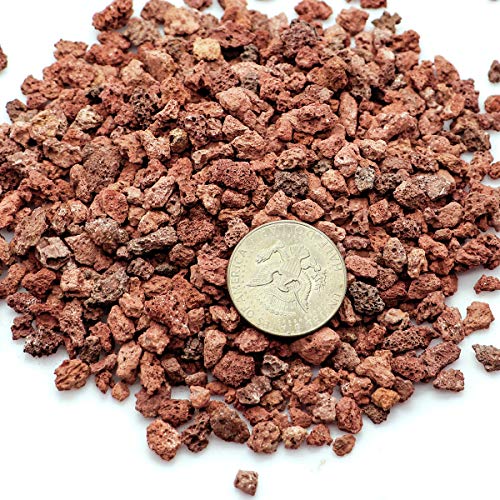 Lava Granules Against Slugs & Snails? | Garden Test - Slughelp.com