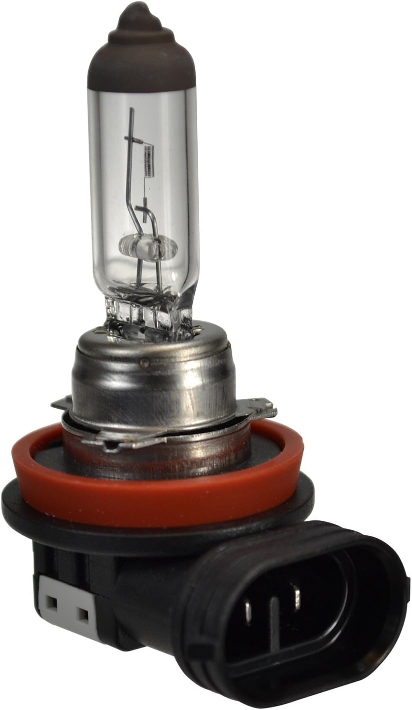Amazon.com: HELLA H11 24V DP Double Power Bulb, 70W : Automotive