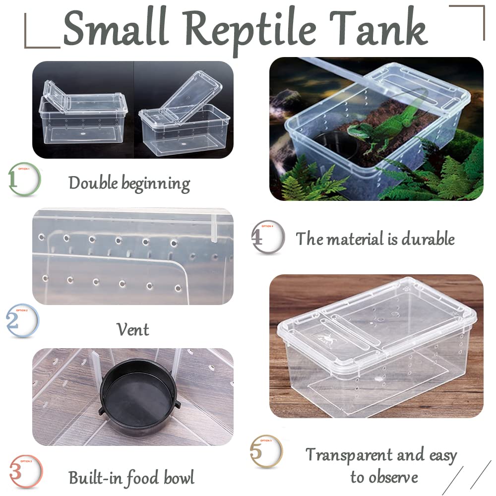 Snapklik.com : Reptile Breeding Box Set Portable Gecko Feeding Hatching ...