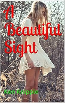 A Beautiful Sight eBook : Knipple, Ken: Amazon.in: Kindle Store