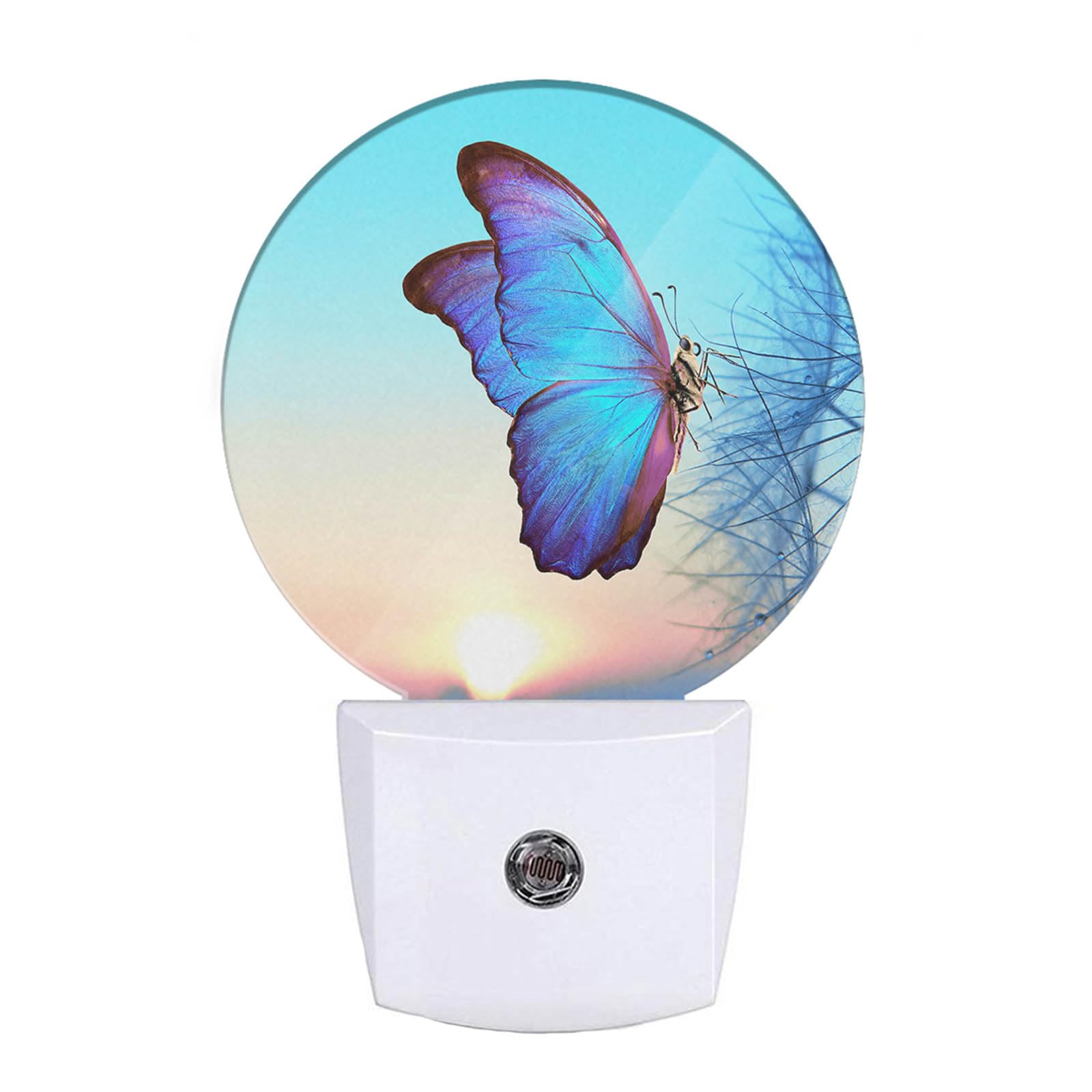 EKOBLA Blue Butterfly Night Light Dandelion Flower Night Lamp Home Auto ...