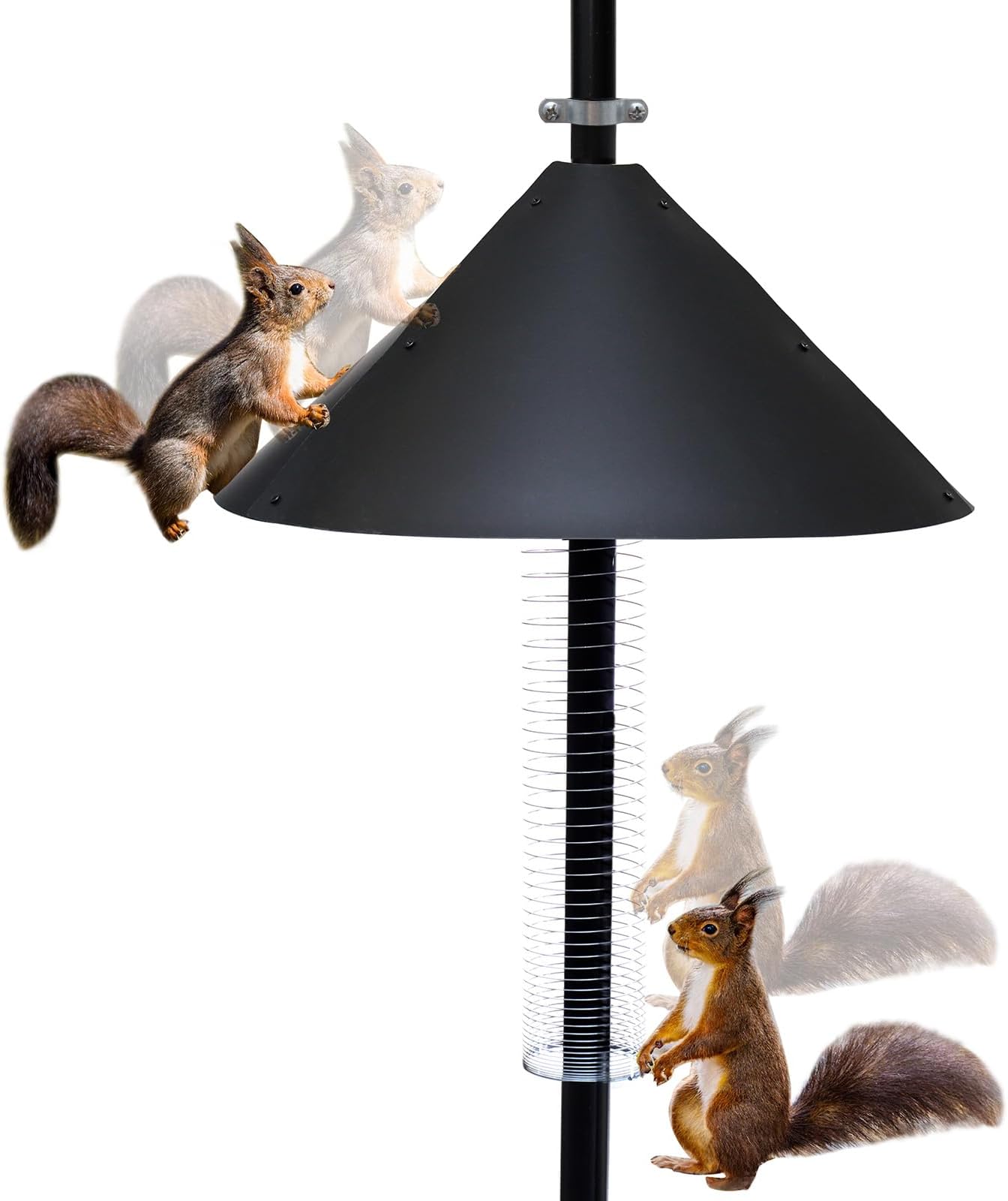 Amazon.com : Squirrel Baffle with Dual Defense, Squirrel Proof for Bird ...
