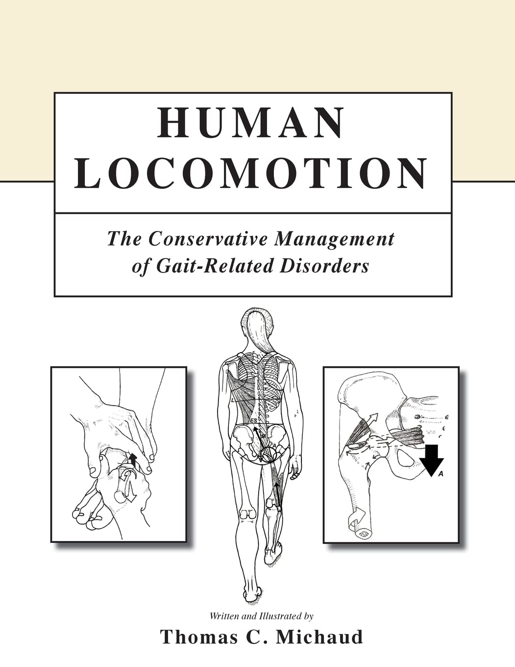 Human Locomotion The Conservative Management Of Gait Related Disorders