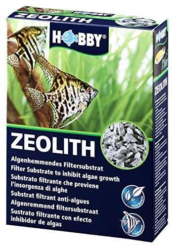 Zeolith als Filtermaterial im Aquarium | Alle Infos und Details