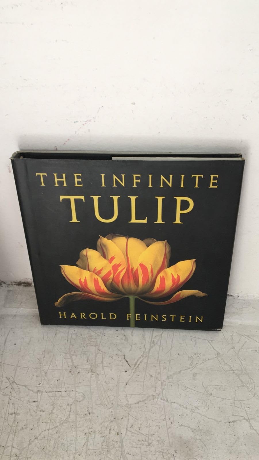 Amazon.com: The Infinite Tulip: 9780821228746: Feinstein, Harold: Books