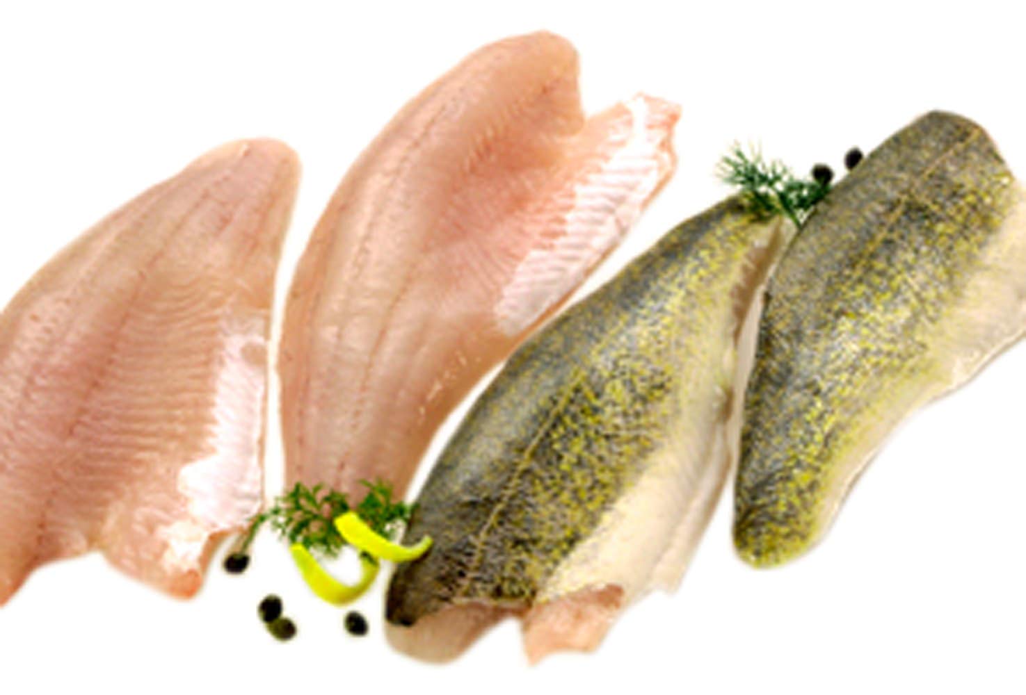 Pescafresh Himalayan Trout - Skinlon Fillets, 1kg Pack : Amazon.in ...