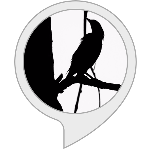 Amazon.com: Random Bird : Alexa Skills