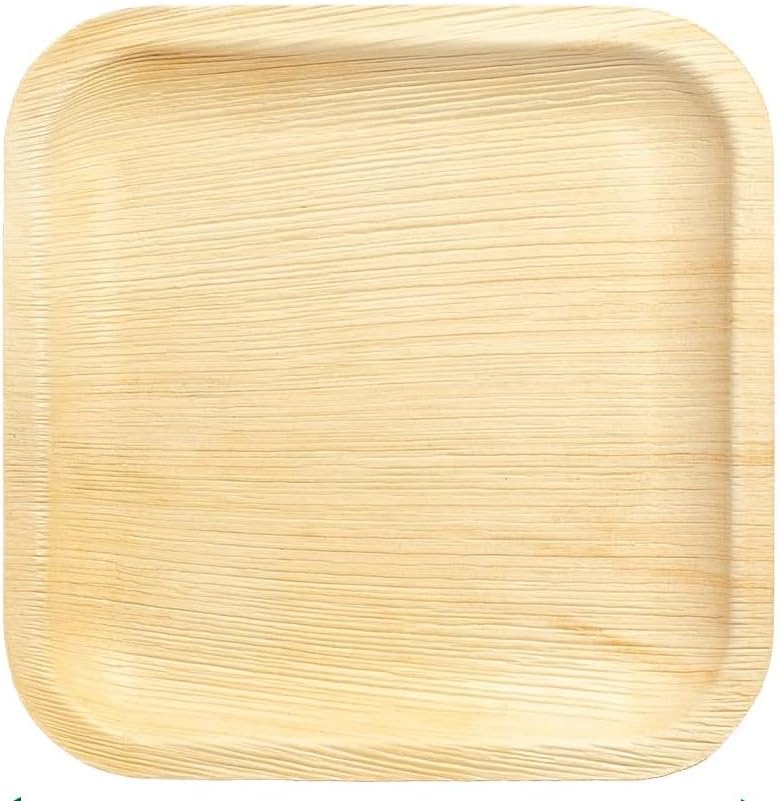 Buy Chande BIO (8", 10 Pack Areca Palm Leaf Square Plates | 100% ...