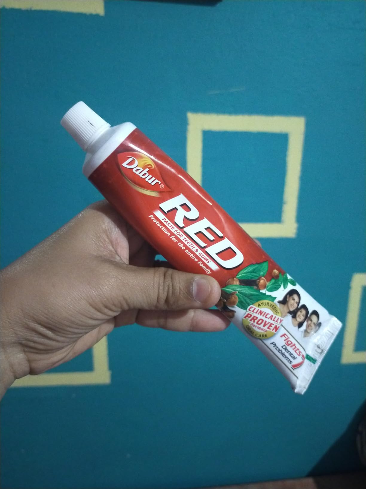Buy DABUR Red Ayurvedic Oral Care Toothpaste - 200G Online at Low ...