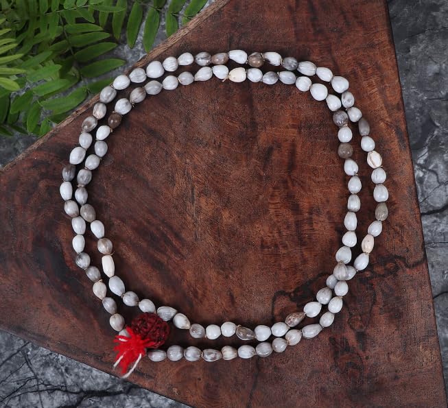 NEXG Real & Natural Vaijayanti Mala Original 108 Beads Baijayanti Japa ...