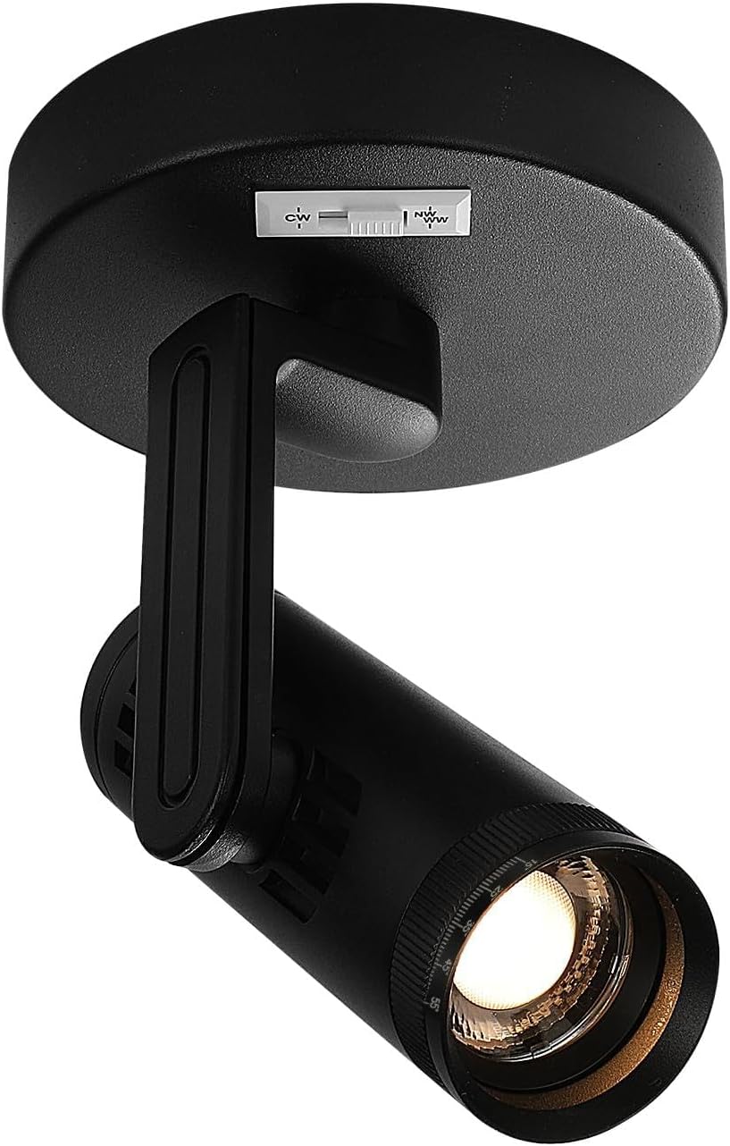 HITOO Zoomable Ceiling Spot Light Indoor 12W Art Display Accent ...