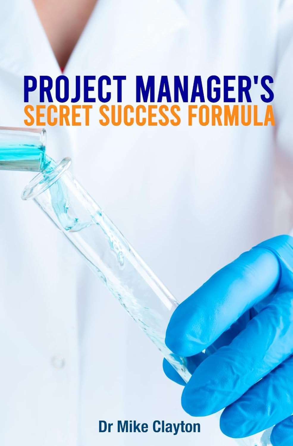 Project Manager's Secret Success Formula: Let an Experienced Project ...