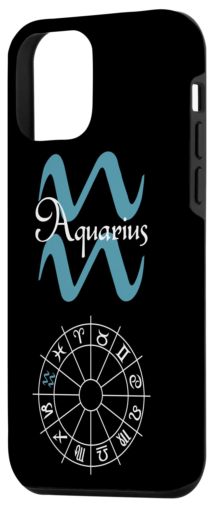 Zodiac sign for feb 12 birthday 60 photos - Youhoroscope.com