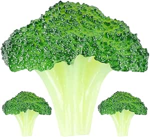 Amazon.com: Toyvian 3pcs Artificial Broccoli Models Realistic Vegetable ...