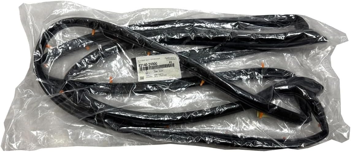 Amazon.com: Genuine OEM 83140-2V000 WEATHER STRIP-RR DR SIDE RH ...