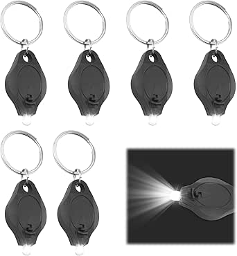 6Pcs Mini LED Flashlight Keychain, Portable LED Key Ring Torches Ultra ...