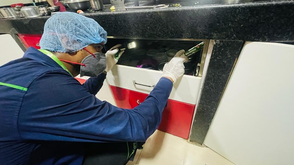 HiCare 4D Cockroach & Ant Pest Control Service, India's 1st & only ...