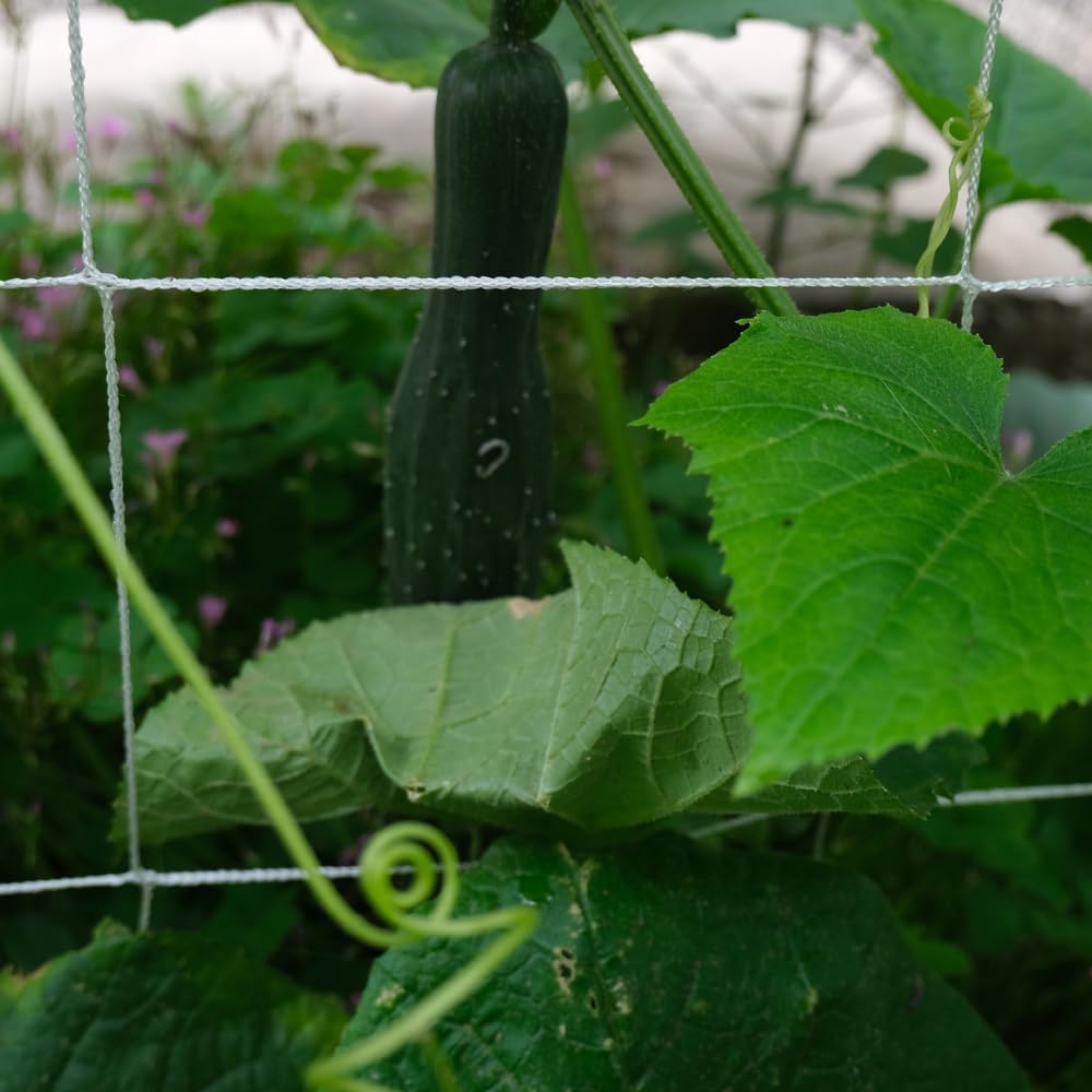 Amazon.com : Meanchen 5x30Ft,Garden Trellis Netting,Heavy Duty ...
