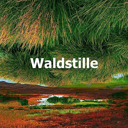 Waldstille von Naturgerausche fur Entspannung und Erholung bei Amazon Music - Amazon.de
