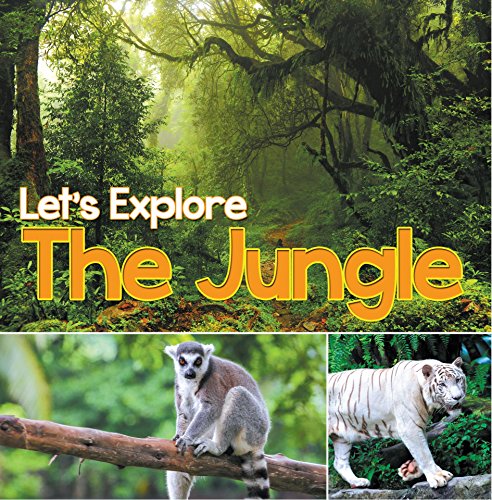 Amazon.com: Let's Explore the Jungle: Wildlife Books for Kids (Animal ...