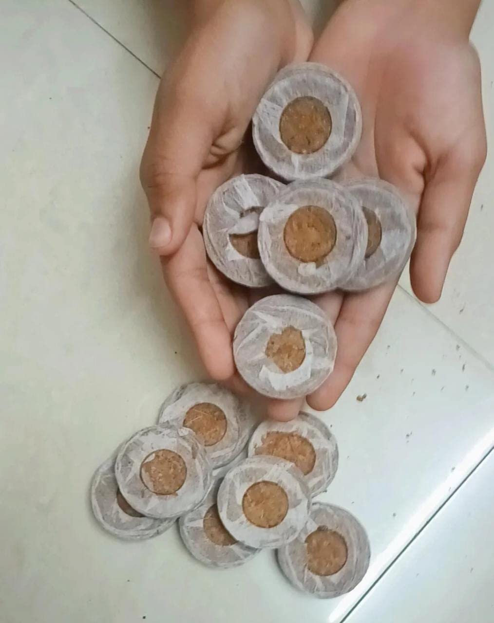 ORGANZEE NEST Seeds Starter Coco Disc, with Netted Jiffy Bag 40mm ...