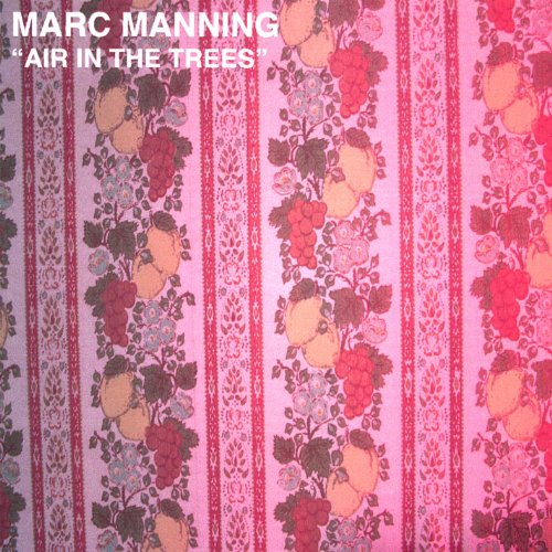 Amazon.com: Air In The Trees : Marc Manning: Digital Music