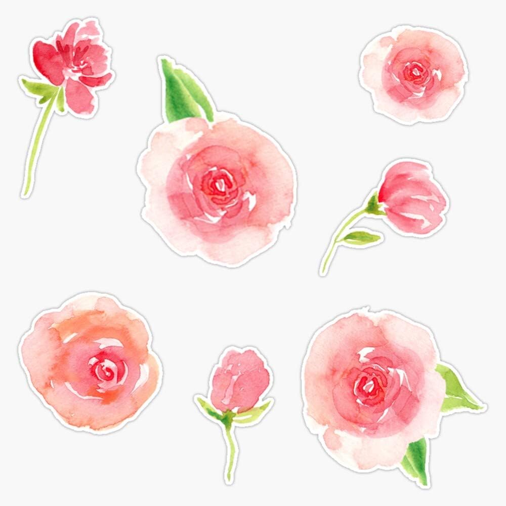 Amazon.com - Pretty Pink Roses Sticker Set Pack Vinyl Waterproof ...