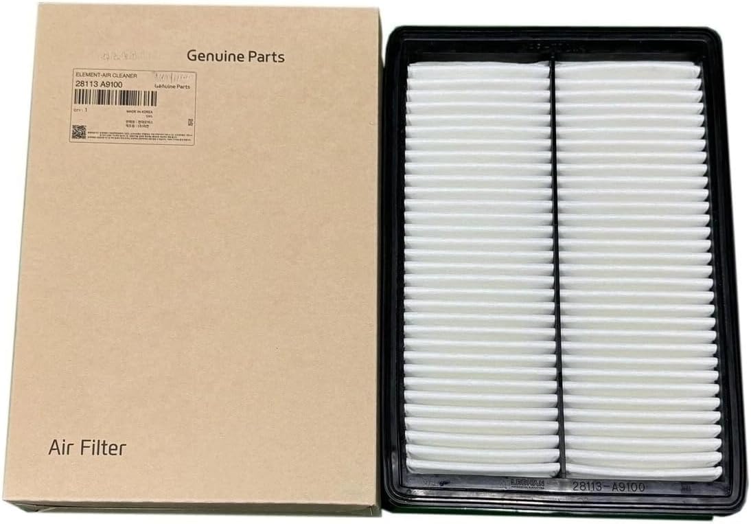 Amazon.com: Generic Genuine OEM 28113-A9100 Air Cleaner Filter, Air ...