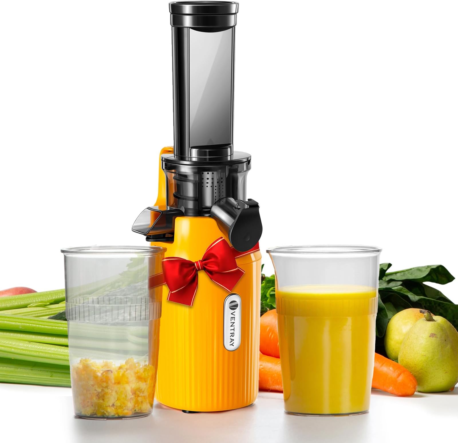 Amazon.com: Narcissus Cold Press Juicer, Compact Slow Masticating ...