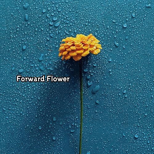 Flow Forward – Die 15 besten Produkte im Vergleich & Angebote ...