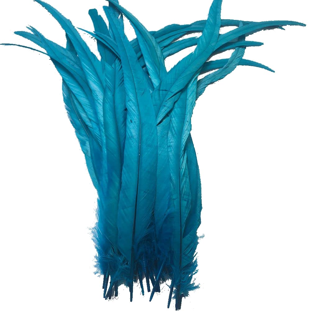 Amazon.com: Sowder Rooster Coque Tail Feathers 14-16inch(35-40cm) for ...