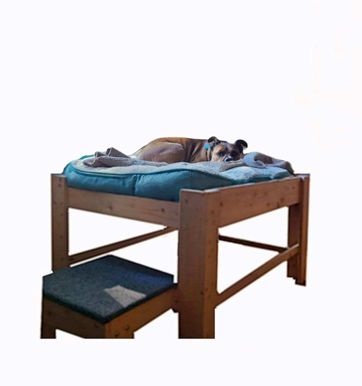 Amazon.com: Unfinished Furniture-The "Sophie"The ORIGINAL!! Elevated ...