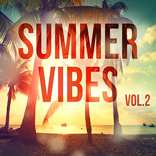 Amazon.com: Summer Vibes, Vol. 2 : VARIOUS ARTISTS: Digital Music