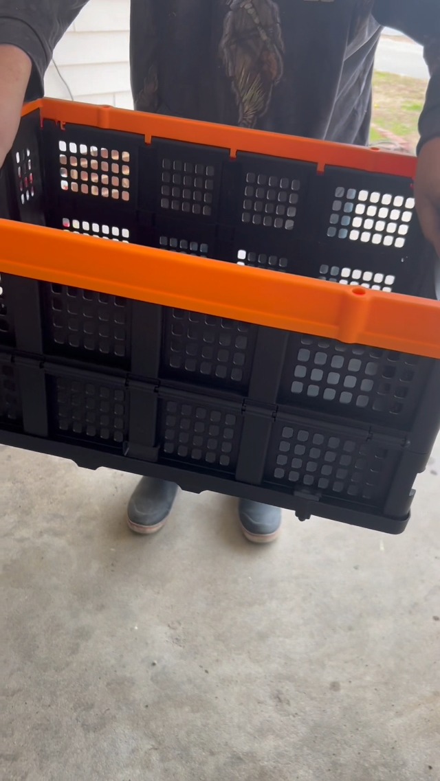 Watch Watch to See If This Cart is Really Worth Buying! on Amazon Live
