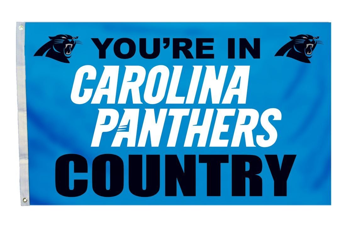 Fremont Die NFL unisex 2-Sided Team Foot Flag With Grommets Carolina ...