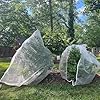 Amazon.com : 8.2x8.2ft Large Fruit Tree Netting Bags,Bird Netting for Blueberry Bushes with ...