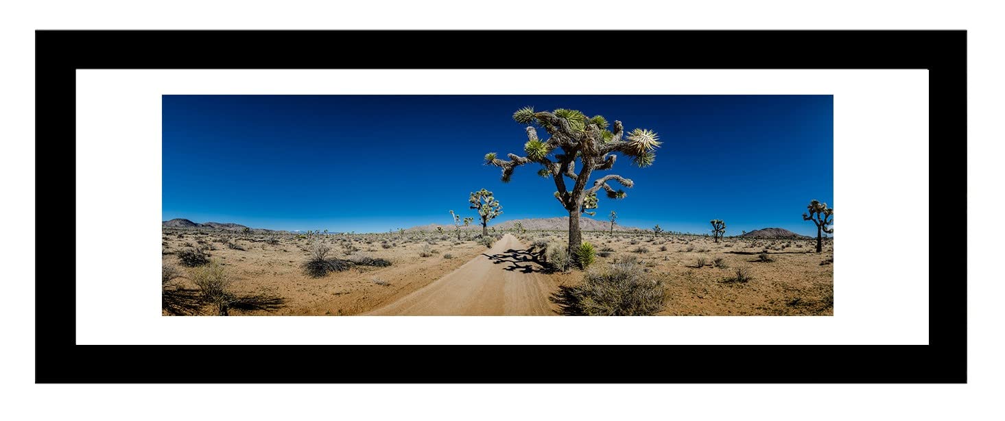 Amazon.com - A PLUS MAX 10x30 Black Frame with Plexiglass and Versatile ...